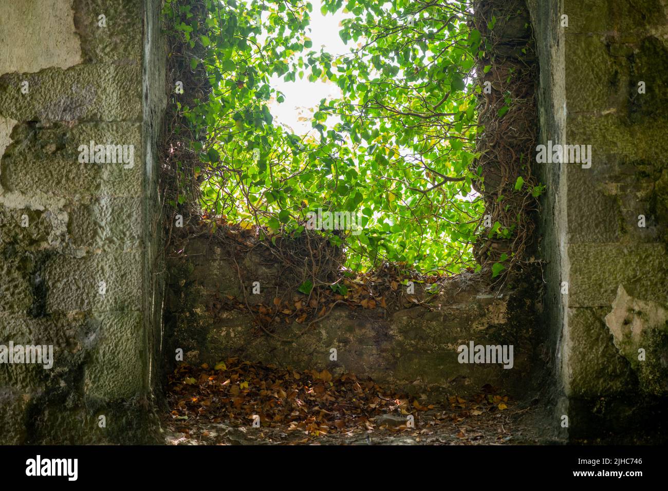 degradation through the nature of the Celtic building, defensive tower ...