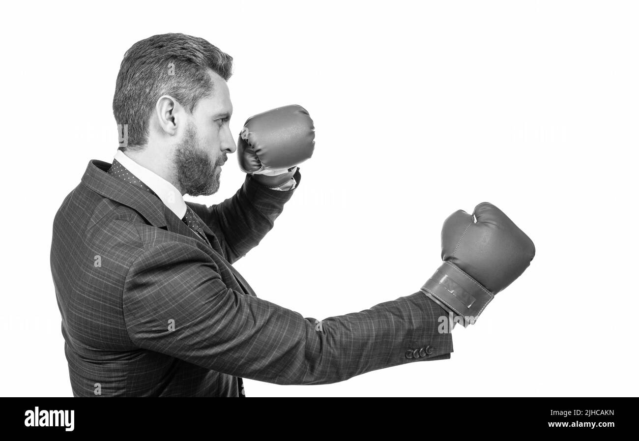 confident businessman man in suit and boxing gloves punching isolated ...