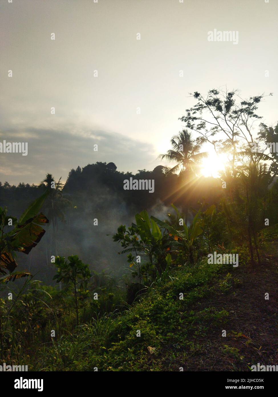 A vertical shot of a tilted green landscape with bright sunlight and ...