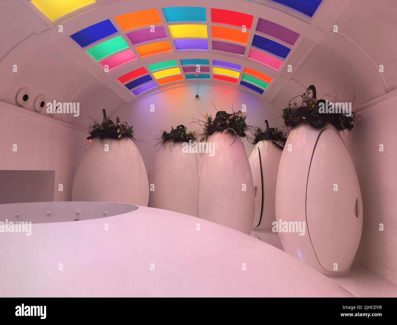 The goose nest room with decorative large eggs Stock Photo - Alamy