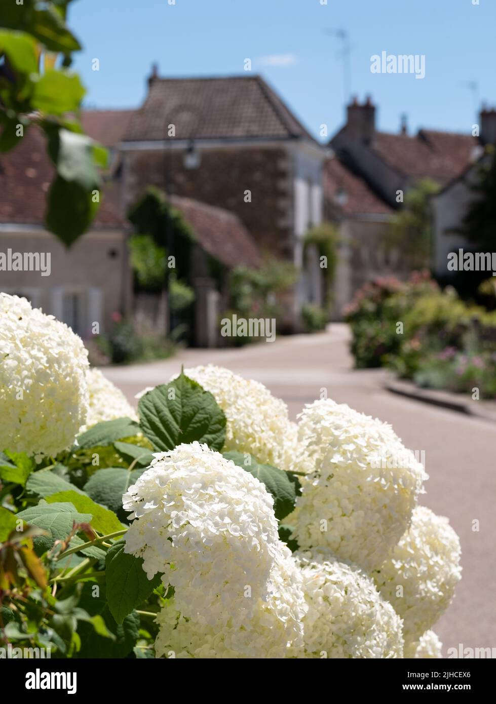 picturesque village of Chedigny in the Loire Valley, central France ...