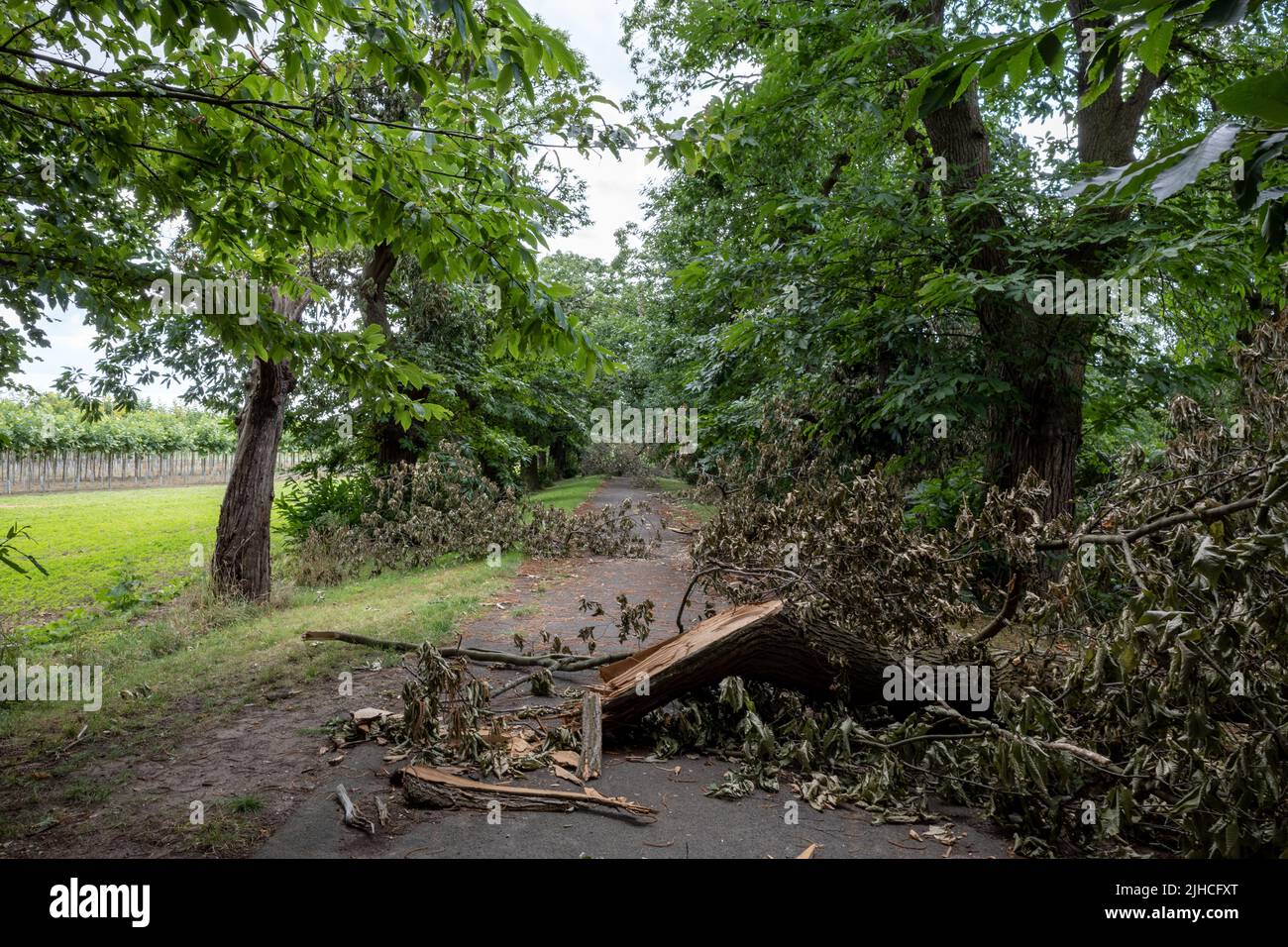 Pathway obstruction hi-res stock photography and images - Alamy