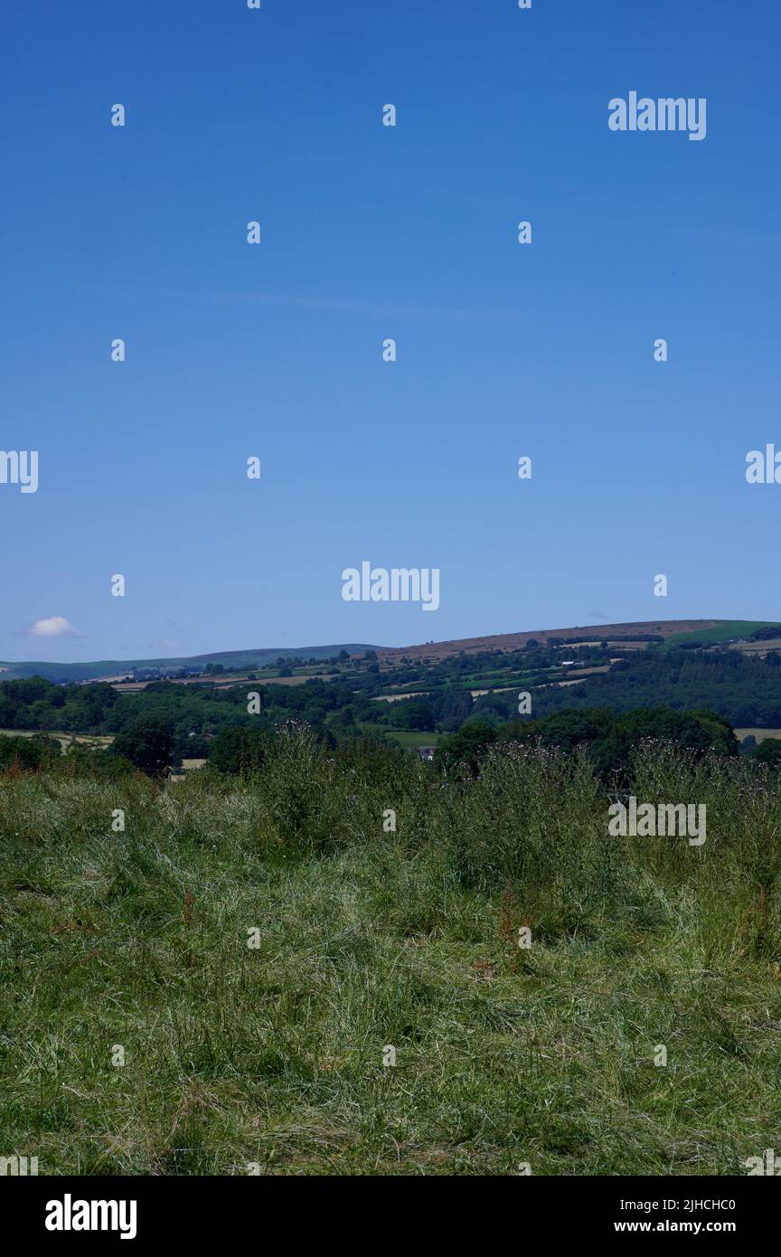 field under blue sky during summer in English countryside Stock Photo ...