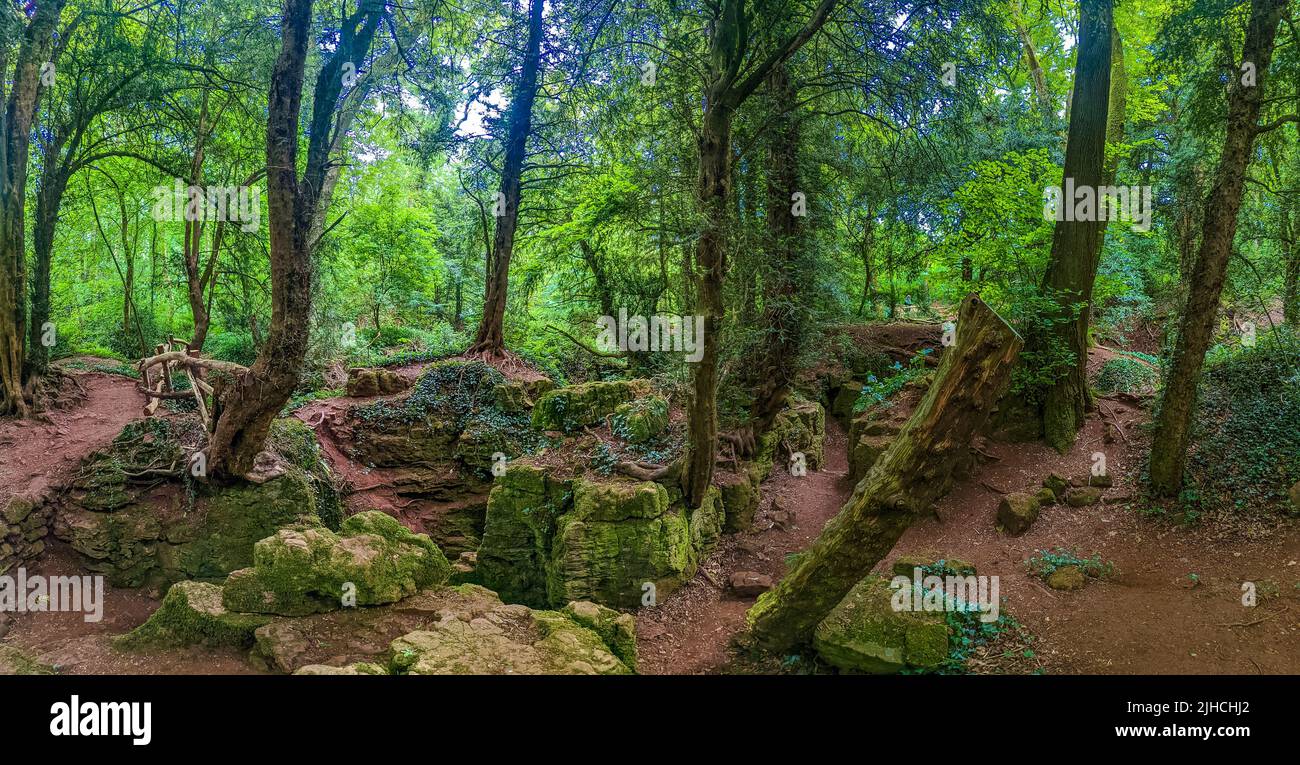 The moss covered rocks of Puzzlewood, an woodland near Coleford, Royal ...