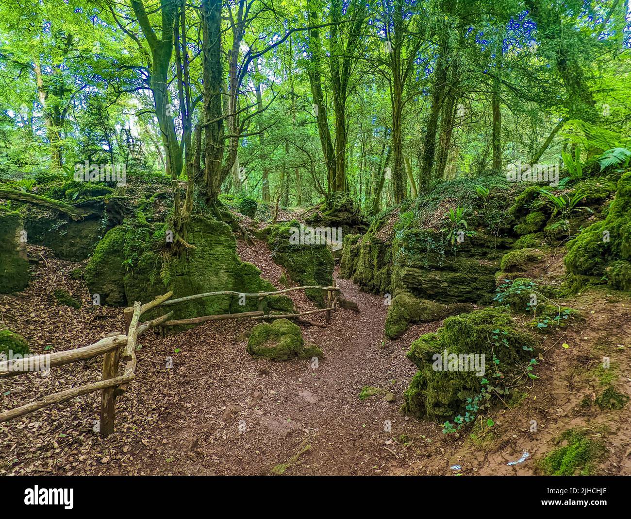 The moss covered rocks of Puzzlewood, an woodland near Coleford, Royal Forest of Dean, UK Stock ...