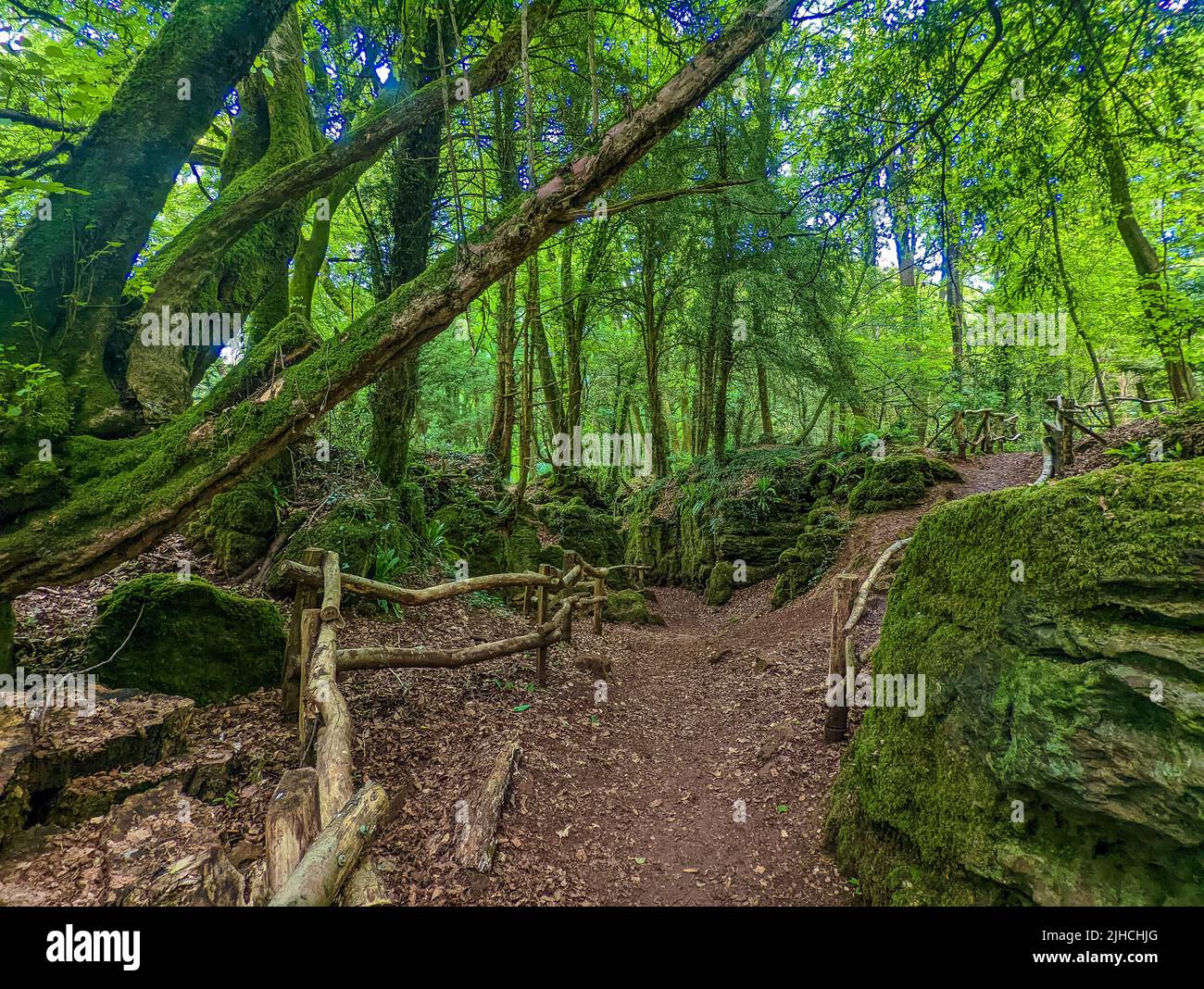 The moss covered rocks of Puzzlewood, an woodland near Coleford, Royal Forest of Dean, UK Stock ...