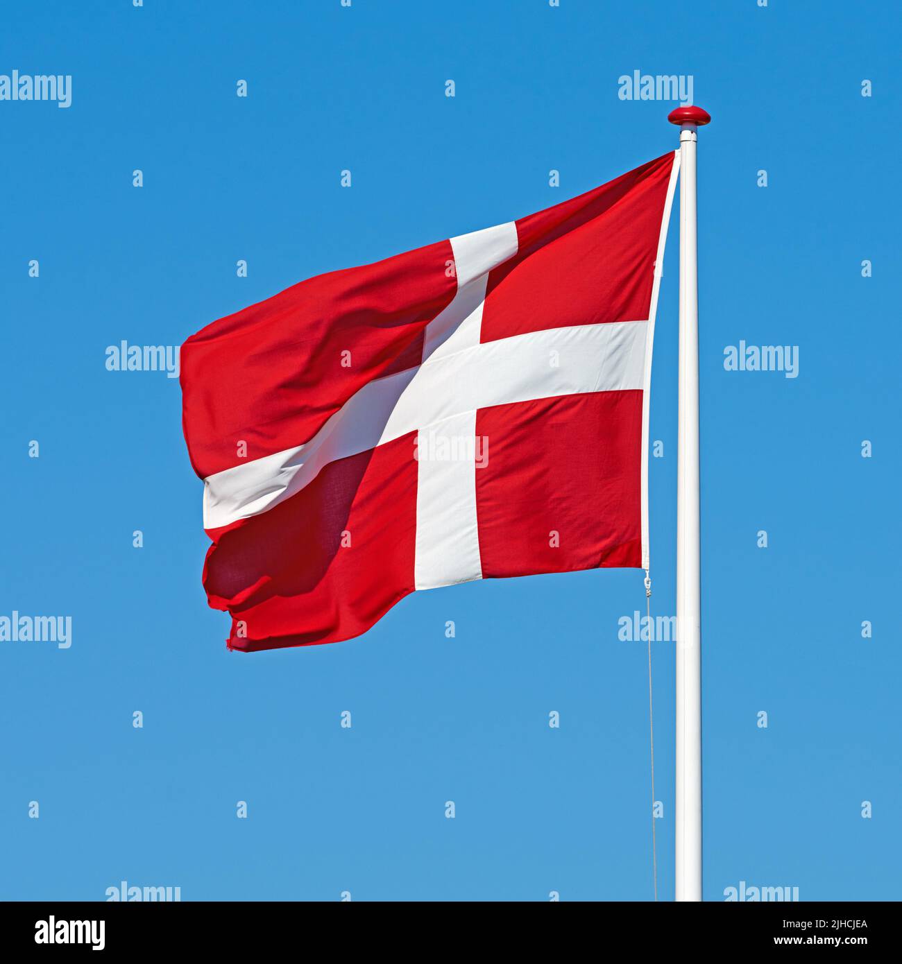 The Danish Flag. the Danish flag blowing against a blue background ...