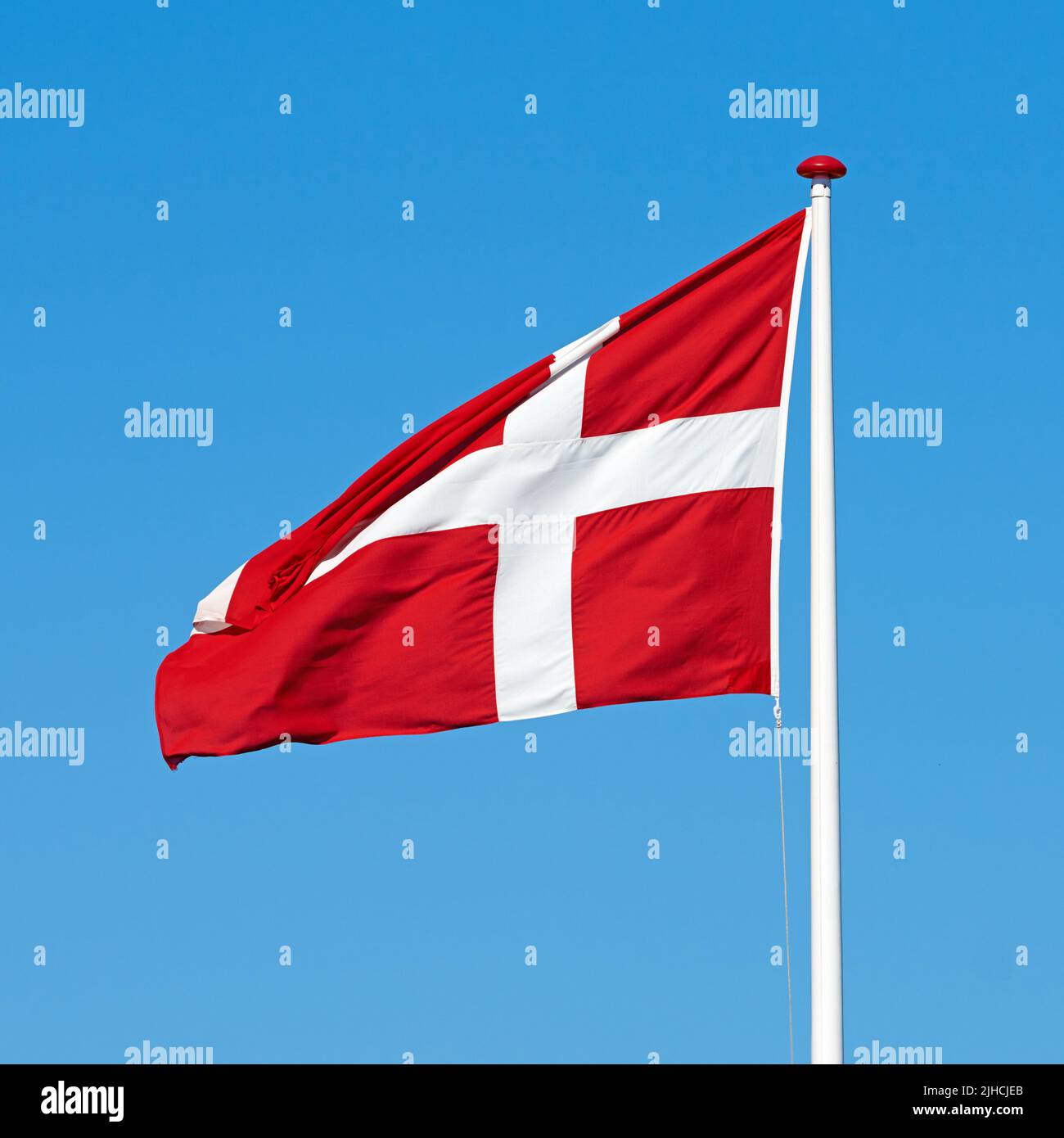 The Danish Flag. the Danish flag blowing against a blue background ...