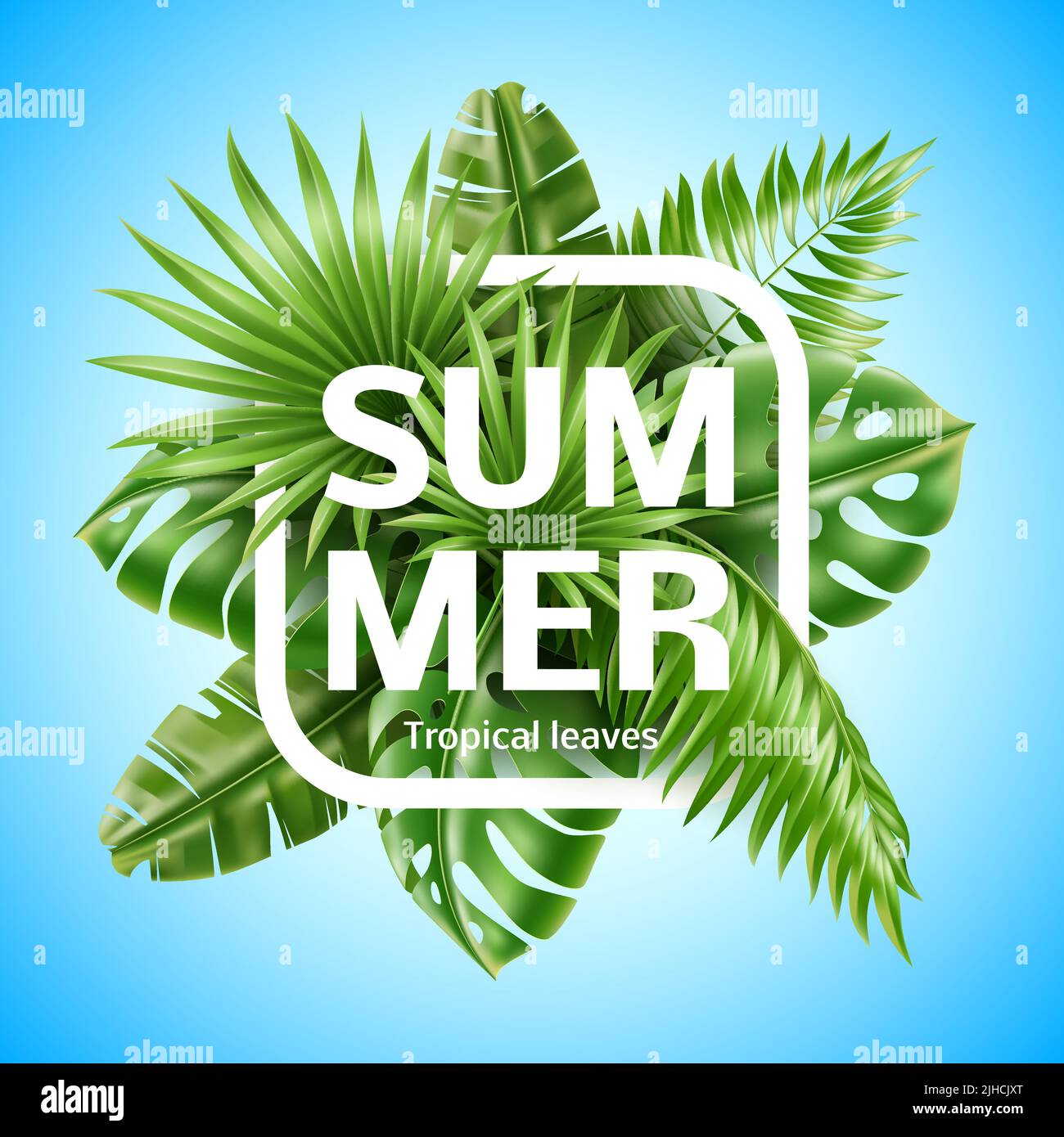 Tropical leaves banner. Exotic jungle green foliage composition ...