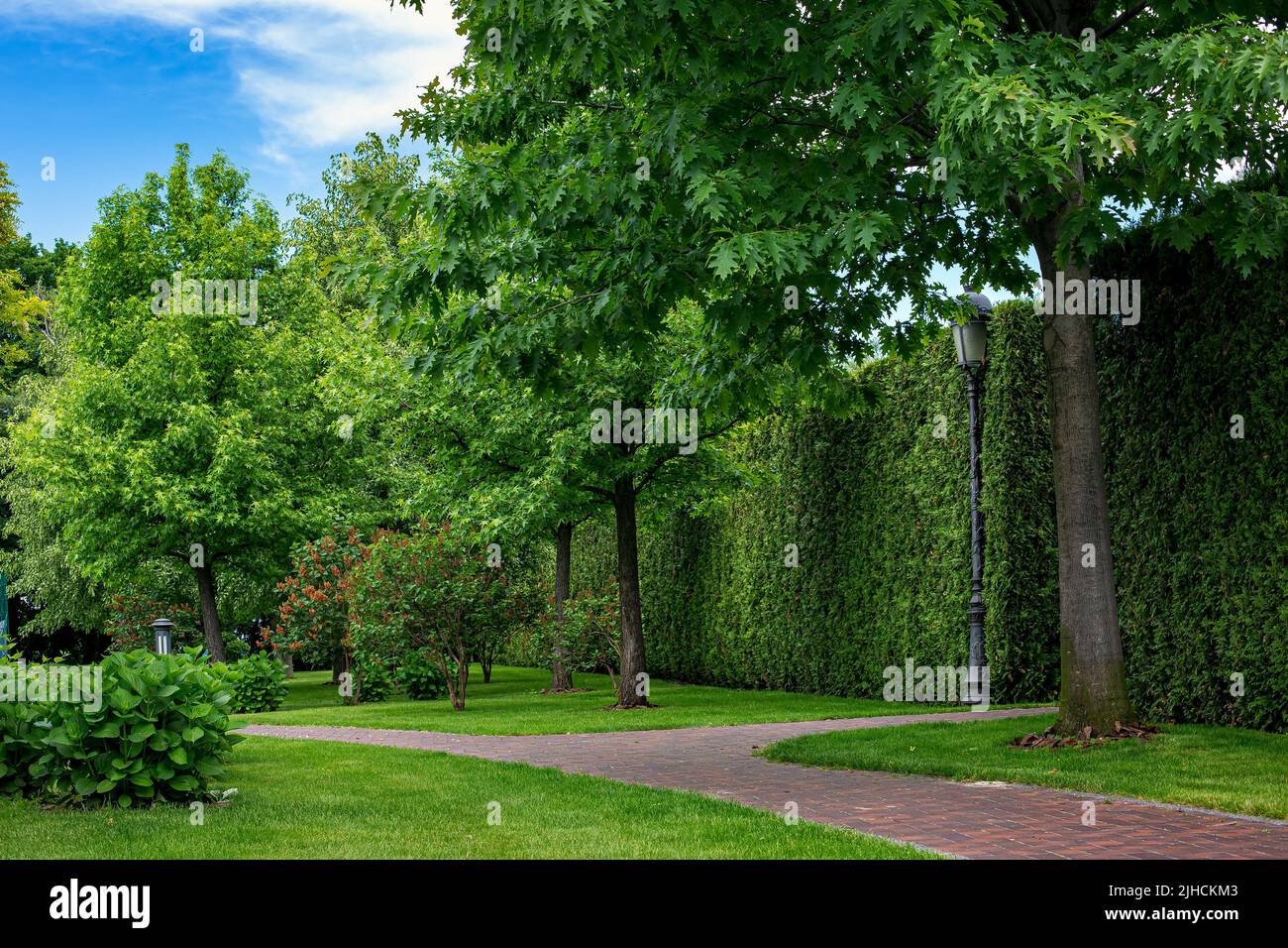 Curved hedges hi-res stock photography and images - Alamy