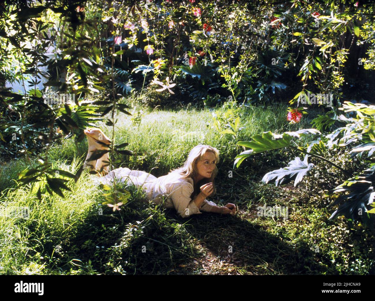 MERYL STREEP, ADAPTATION, 2002 Stock Photo - Alamy
