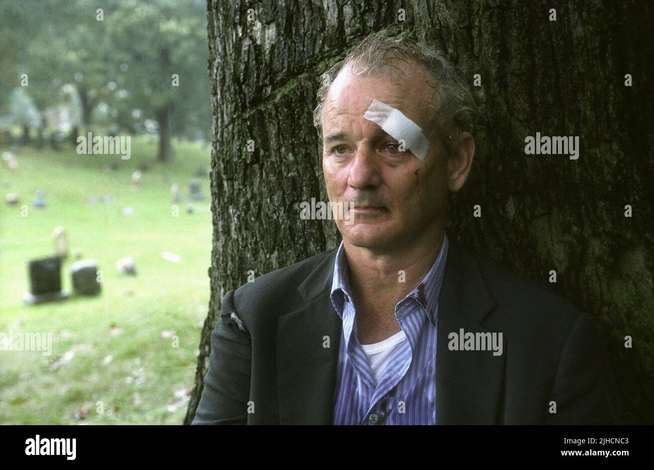 BILL MURRAY, BROKEN FLOWERS, 2005 Stock Photo - Alamy