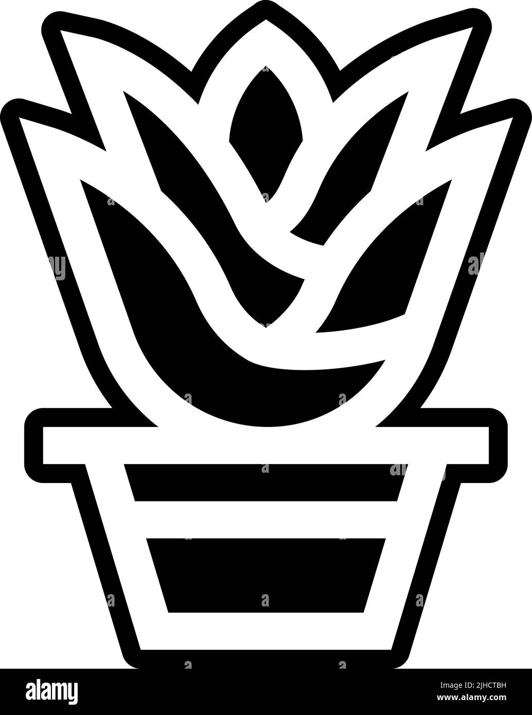 Aloe vera gel leaf Black and White Stock Photos & Images - Alamy