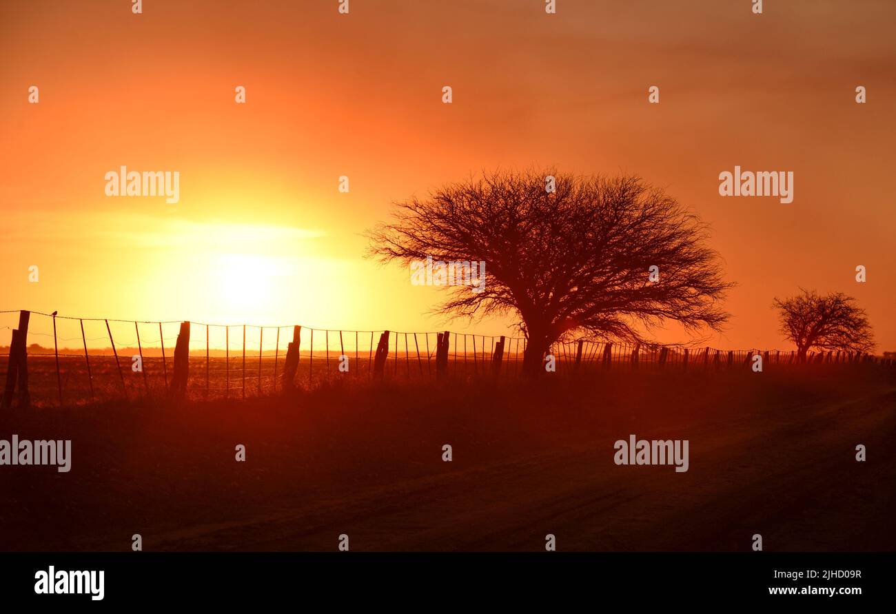 Sunset landscape in Pampas countryside , La Pampa province, Patagonia ...