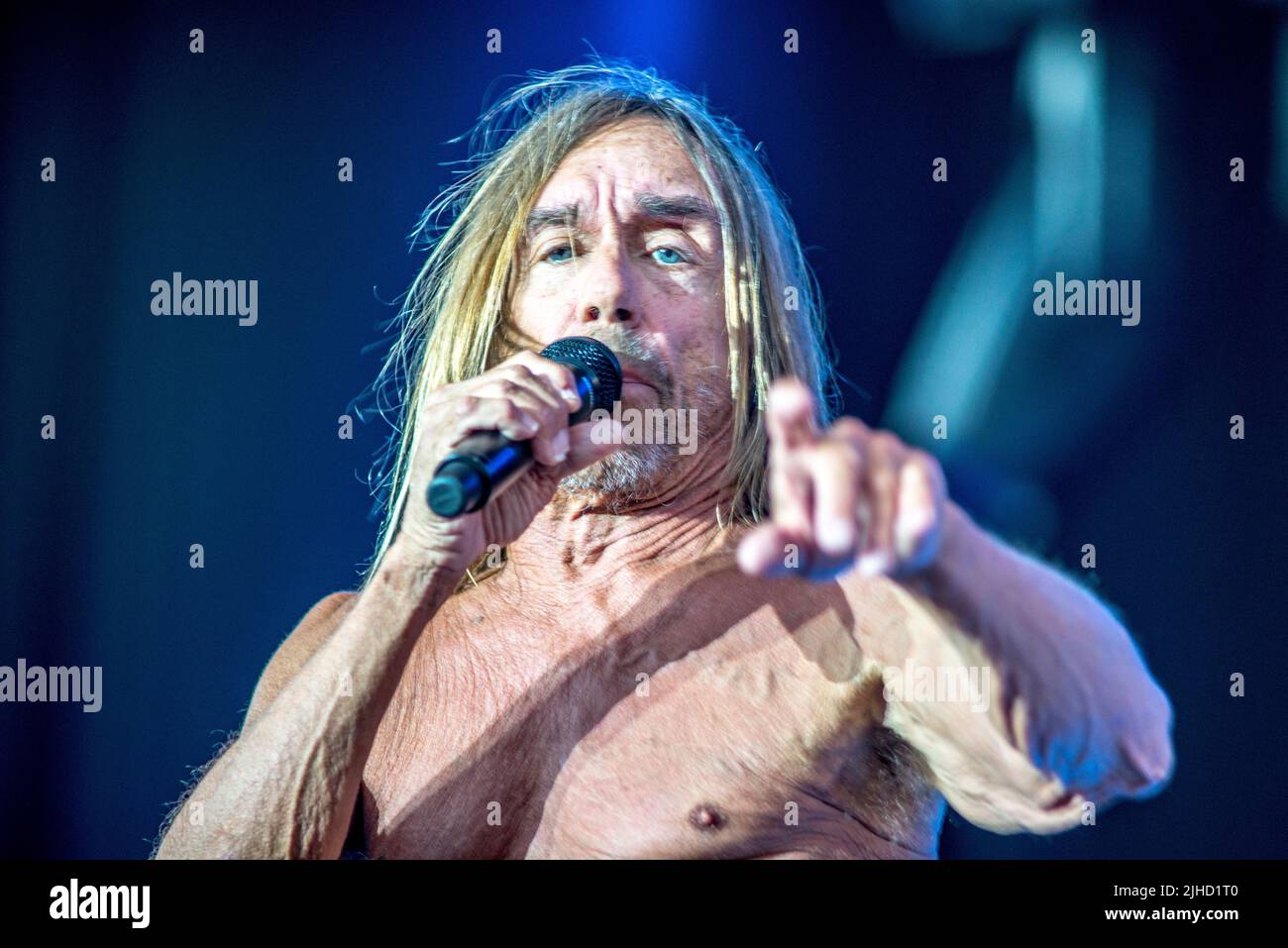 Stooges iggy pop hi-res stock photography and images - Alamy