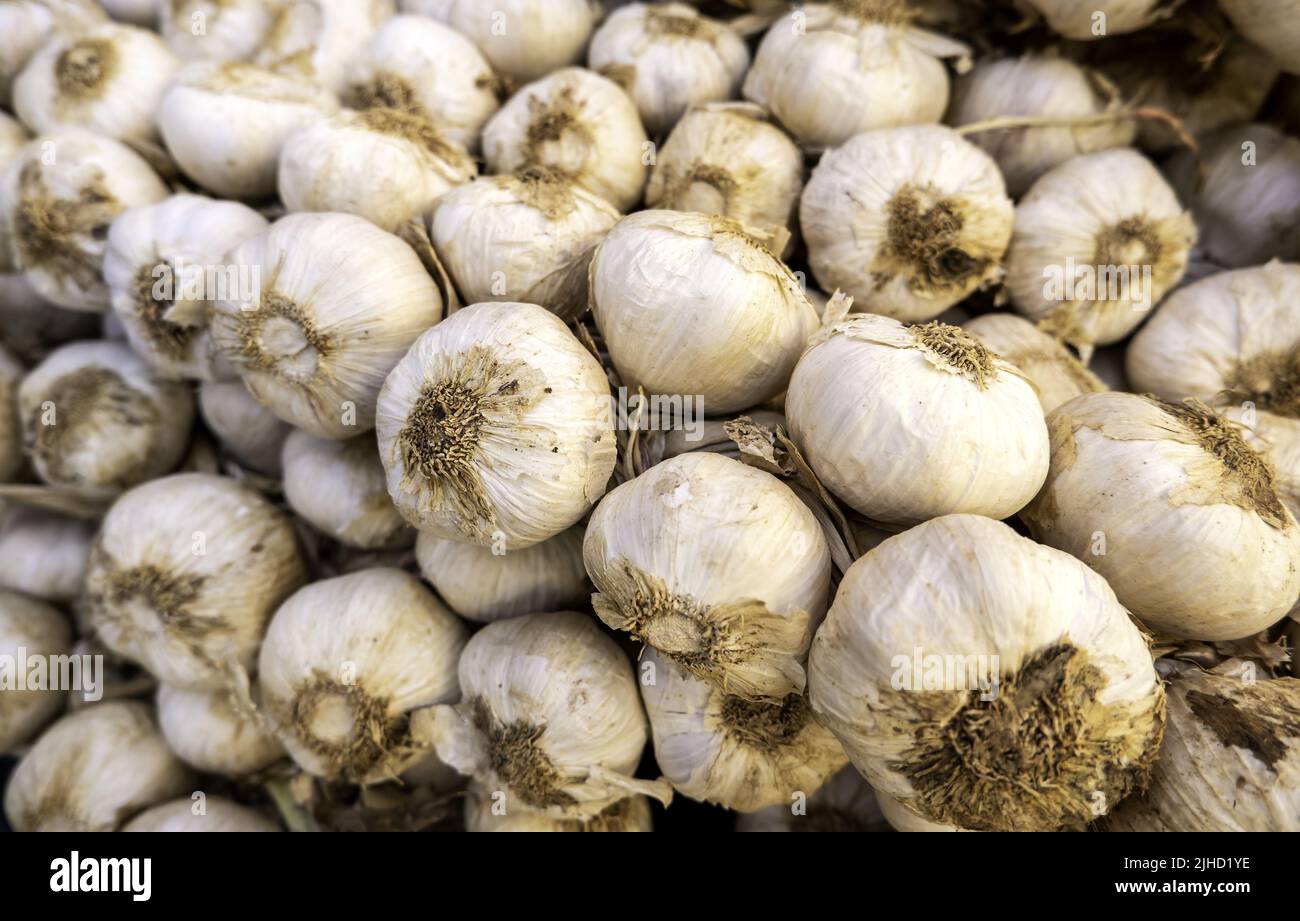 Detail of dried garlic strips in a market, cooking ingredient Stock ...