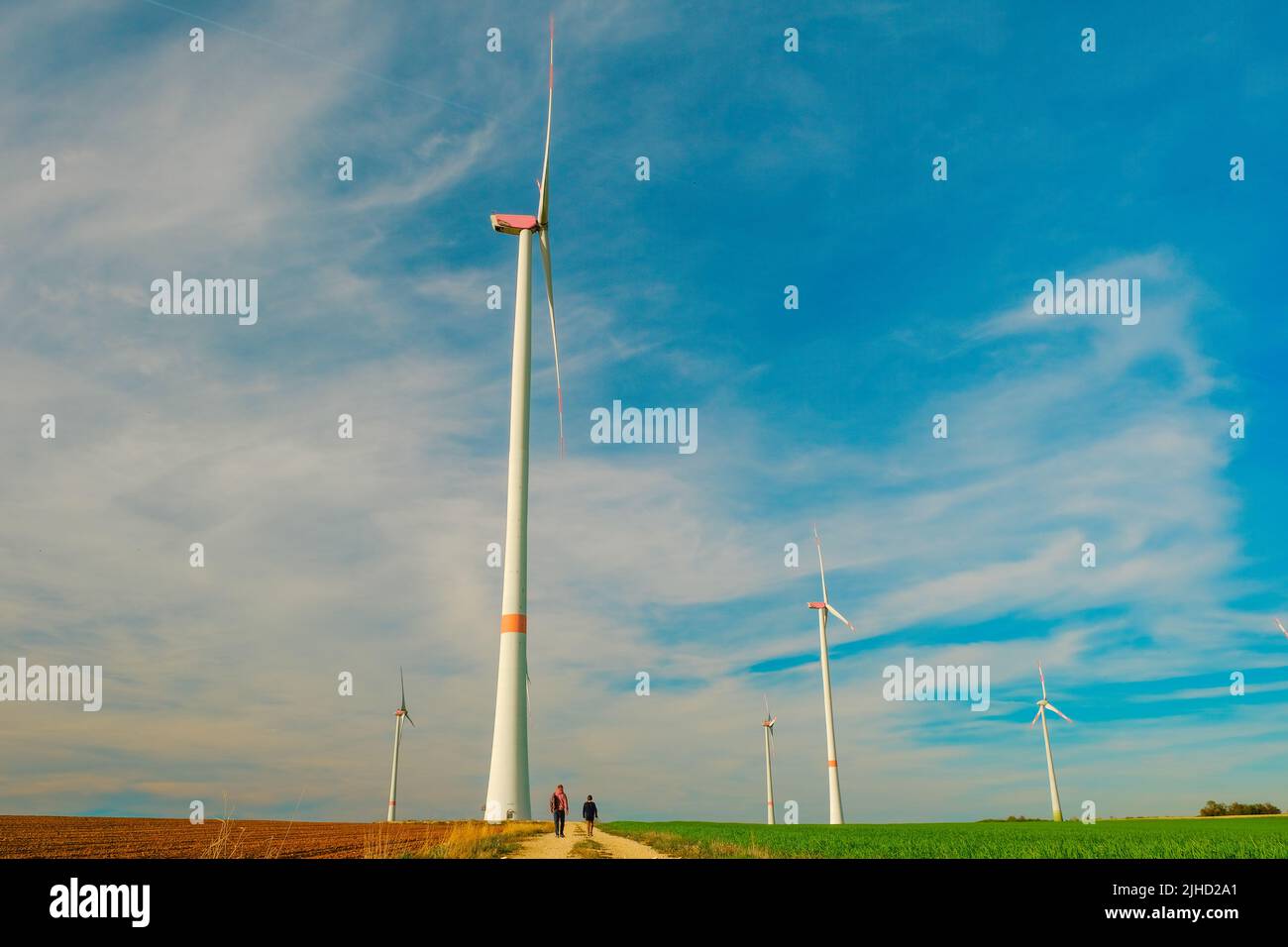 wind turbines.Windmills and People near on the road .Wind generators ...