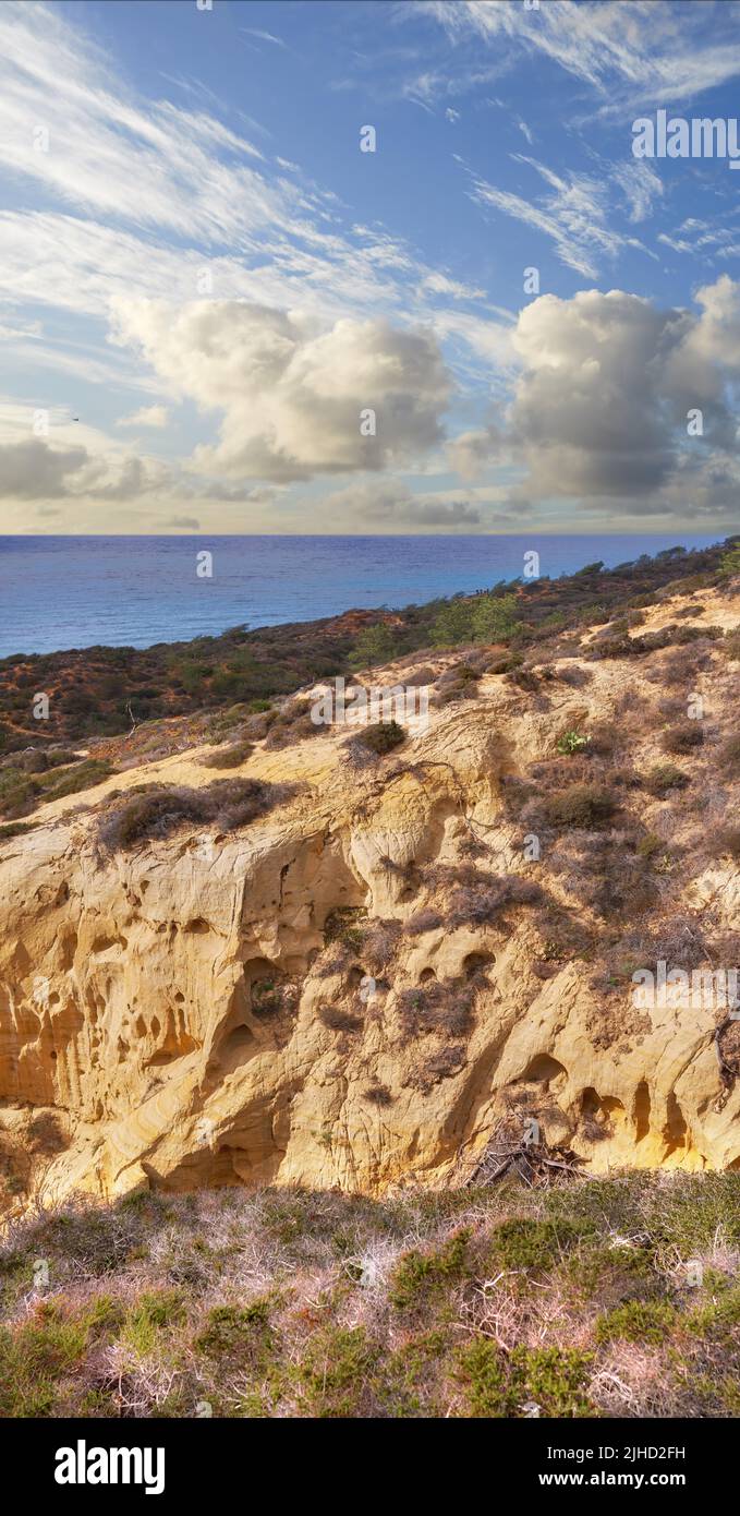 Torrey Pines State and Beach Park - San Diego, California, USA. The ...