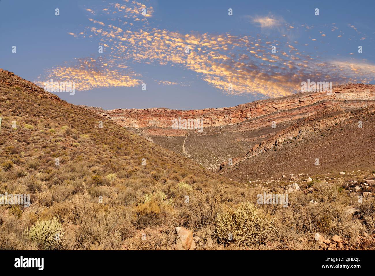 The Cederberg Wilderness Area, managed by Cape Nature Conservation, is ...