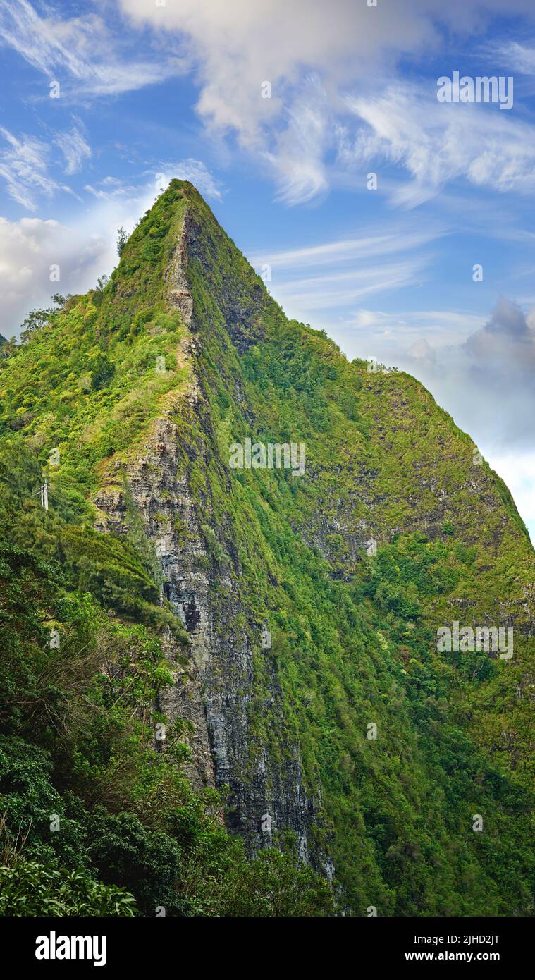 Photos of Oahu jungle - Hawaii. Images from Oahu - The state of Hawaii ...