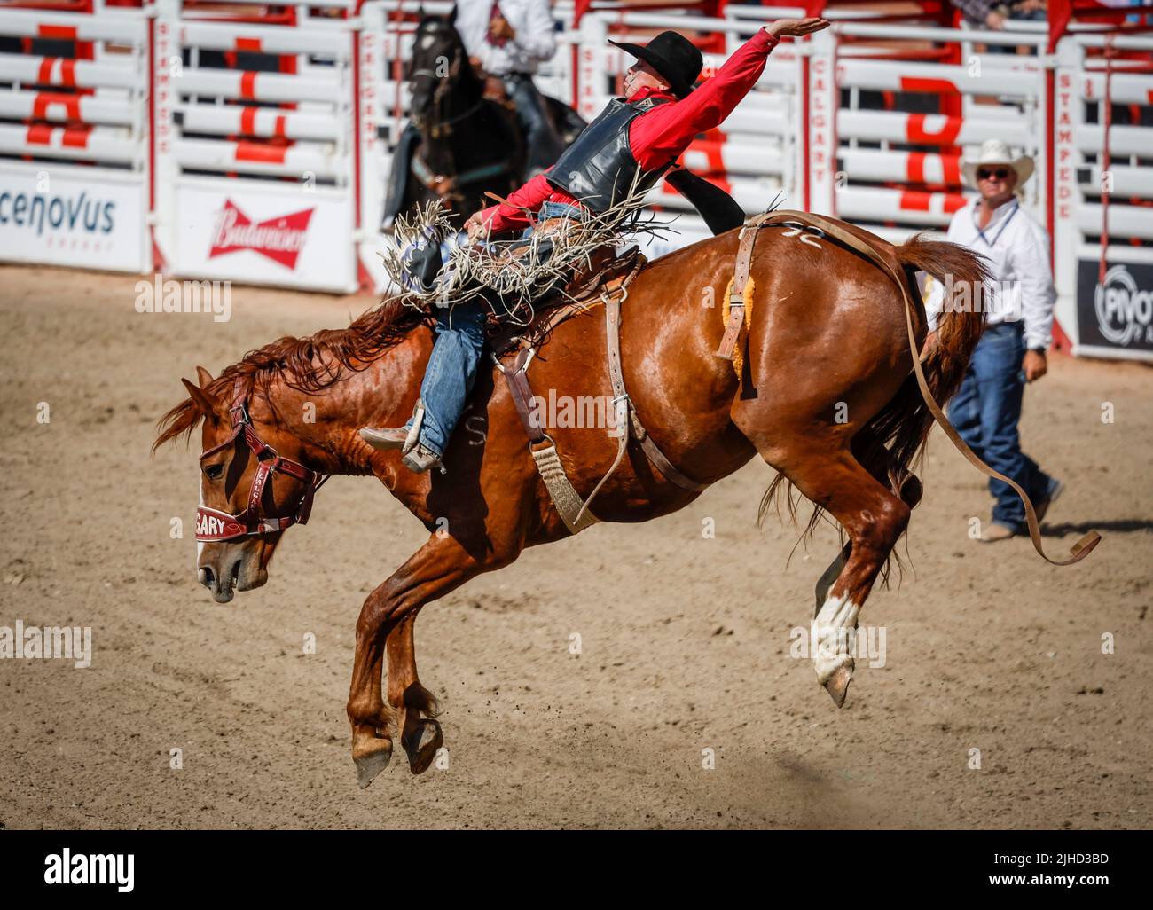 Calgary, Canada. 17th July, 2022. Logan Hay, of Wildwood, Alta., rides ...