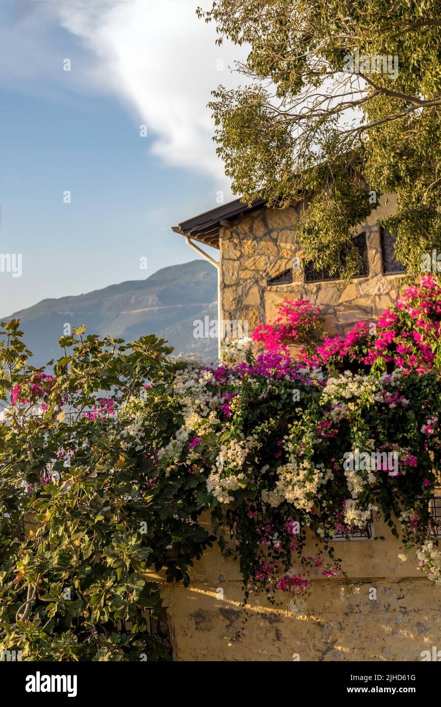 Italian style pink villa hi-res stock photography and images - Alamy