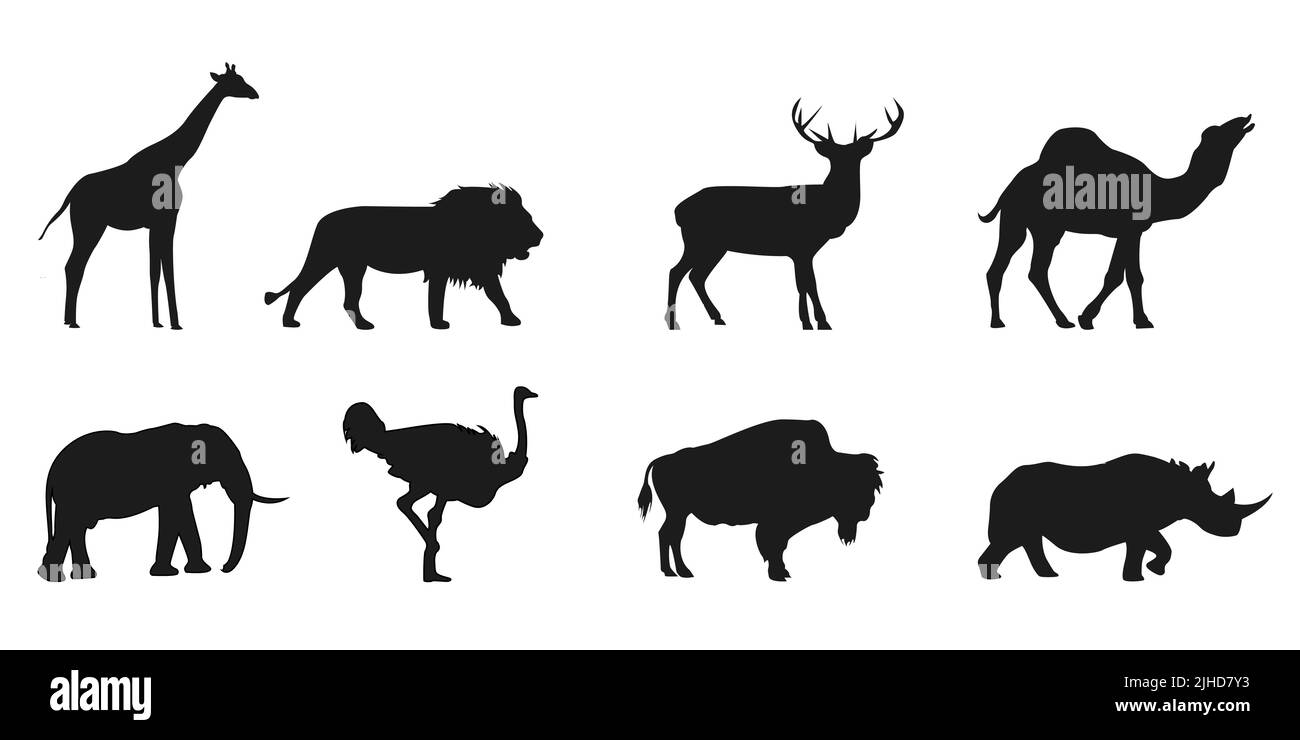Wild Life Animals Silhouette Set Stock Vector Image & Art - Alamy