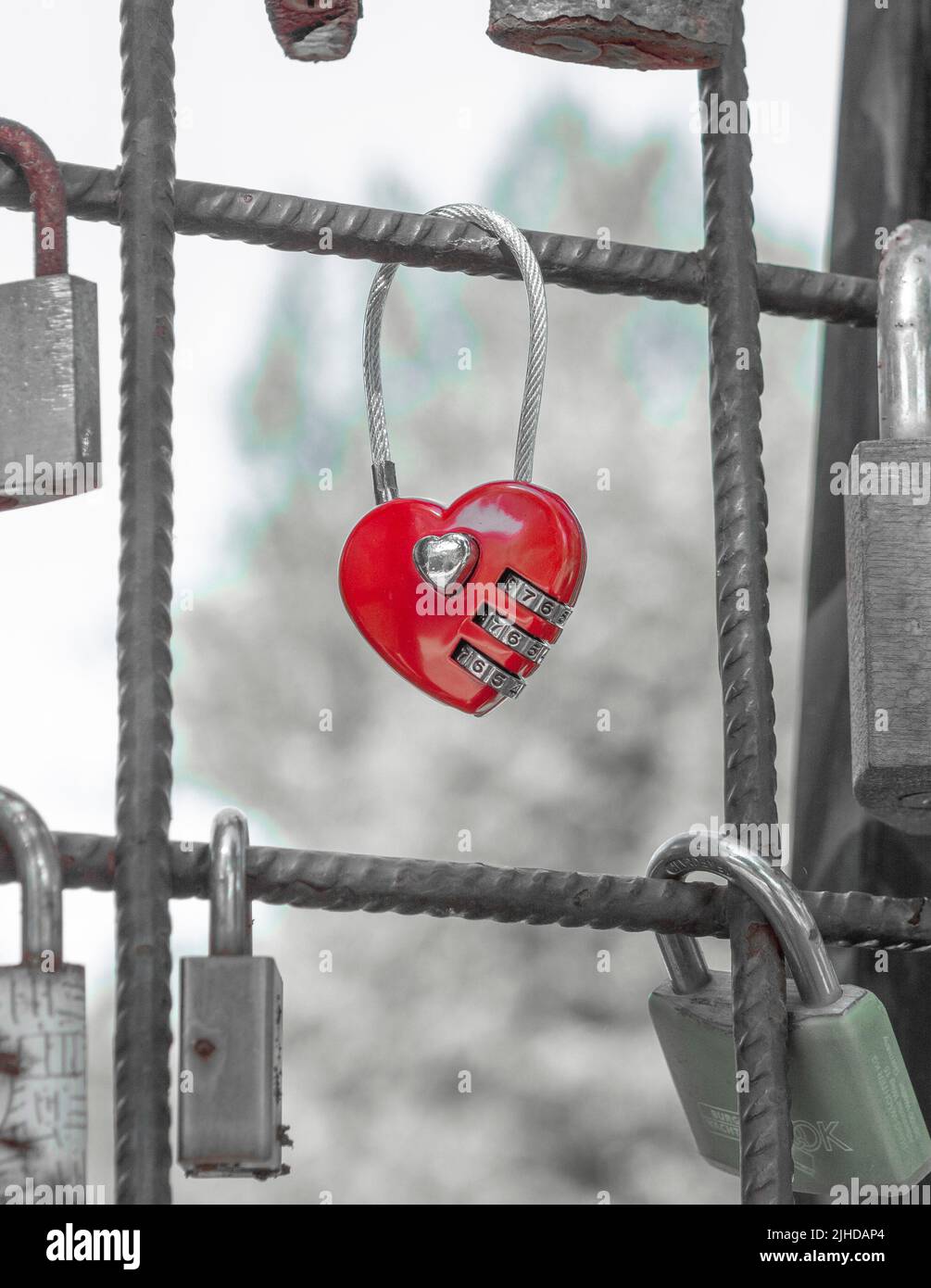 Love padlocks representing ever lasting love. Red heart love lock Stock ...