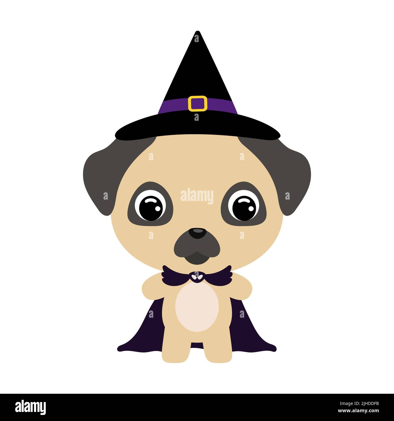 Cute little Halloween dog in a wizard costume. Cartoon animal character ...