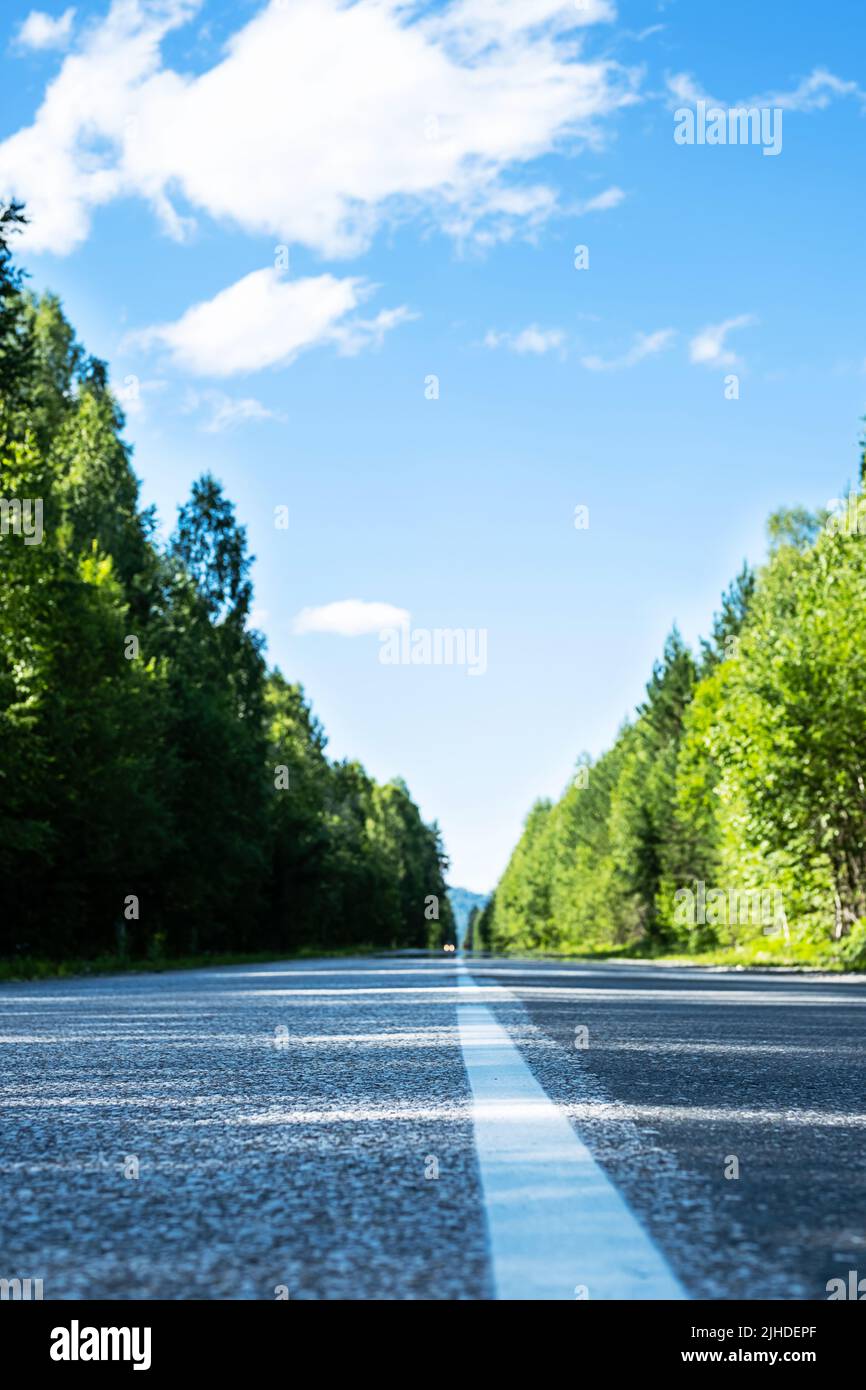 Empty road. Speedway without cars in mountains amid pine forests ...