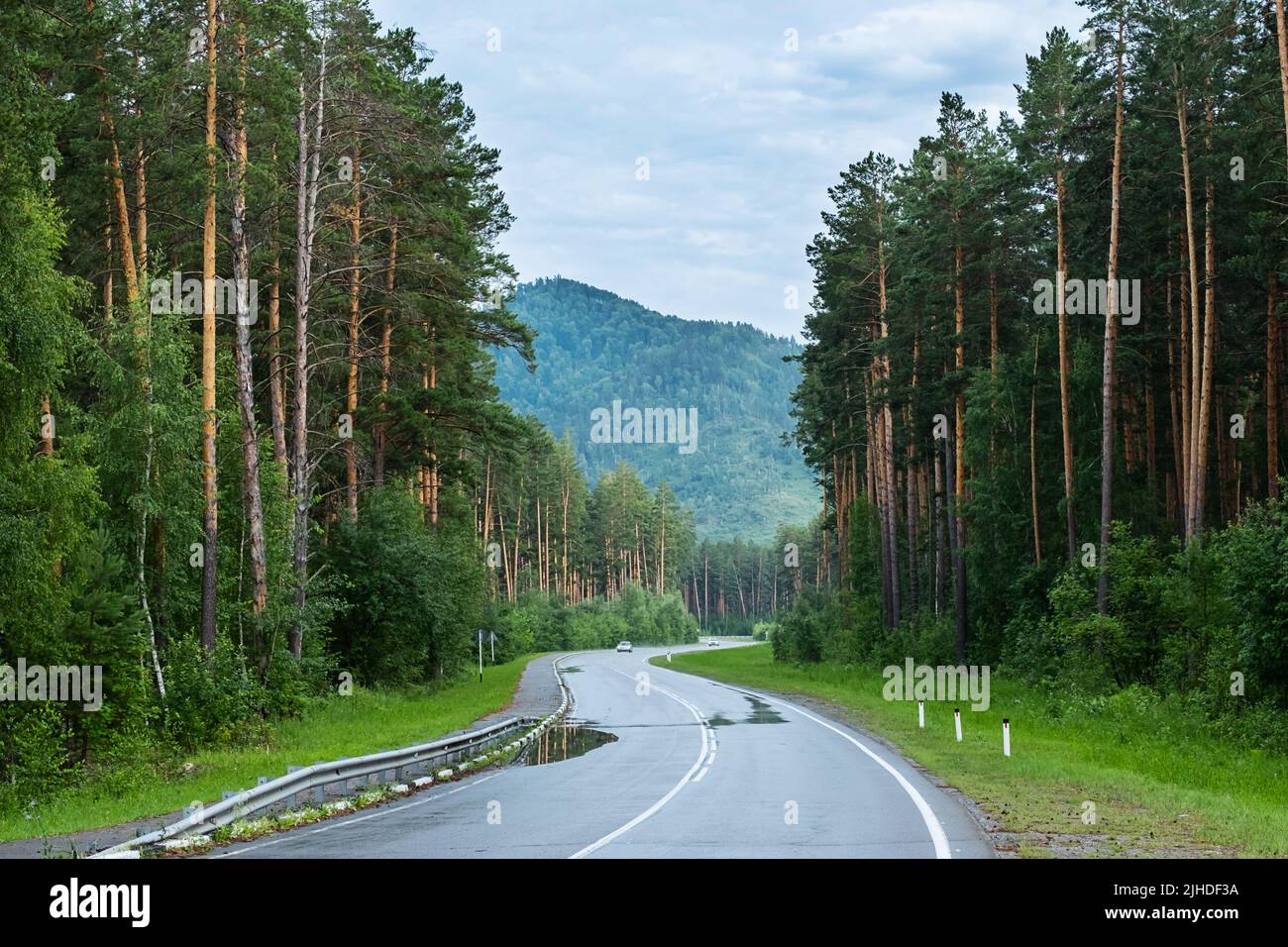 Empty road. Speedway without cars in mountains amid pine forests ...