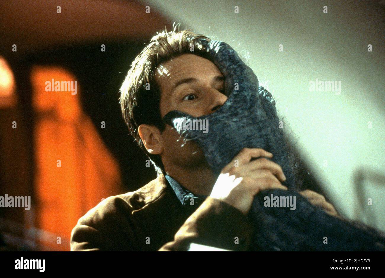 DAVID DUCHOVNY, EVOLUTION, 2001 Stock Photo - Alamy