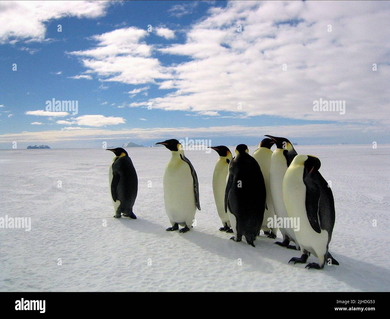 ANTARCTIC EMPEROR PENGUINS, MARCH OF THE PENGUINS, 2005 Stock Photo - Alamy