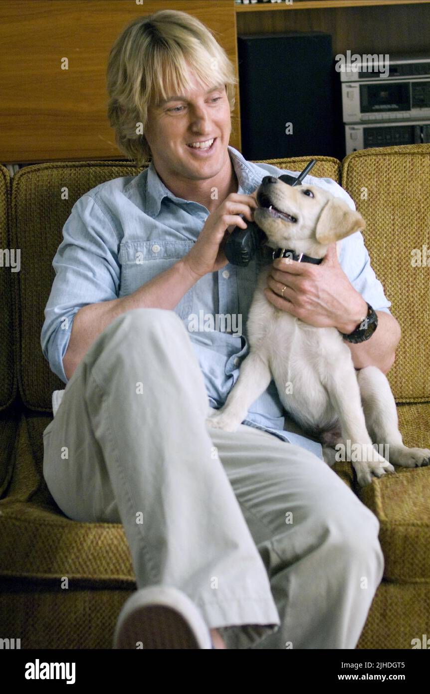 How Many Dogs Used In Marley And Me