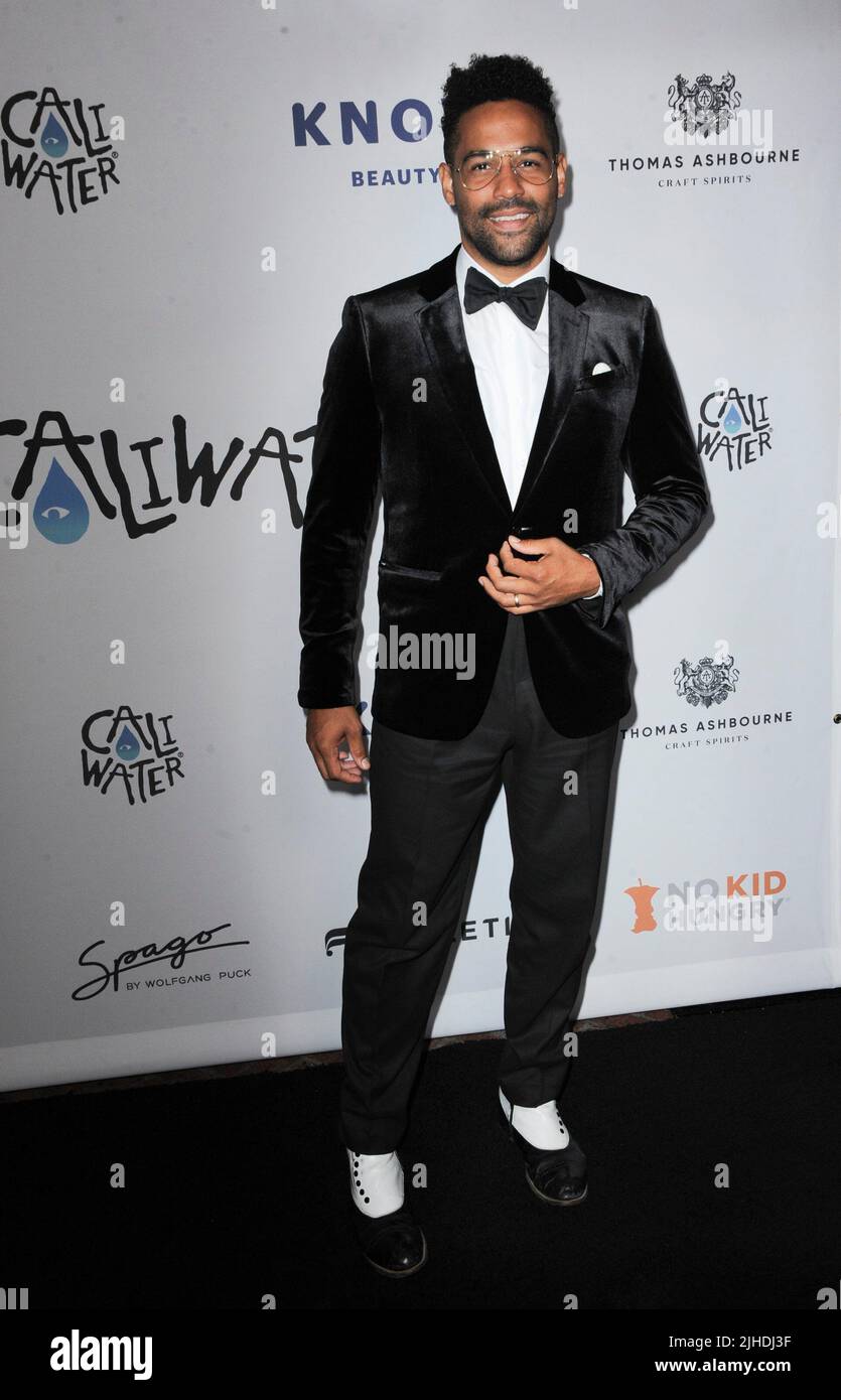 Leo gallo hi-res stock photography and images - Alamy