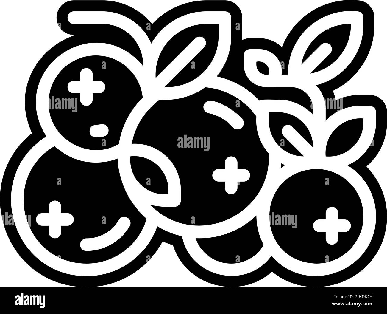 Fresh ripe fruits blueberry Black and White Stock Photos & Images - Alamy