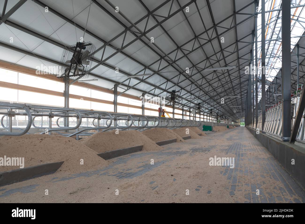places for keeping cows reinforced with sawdust and processed manure on ...