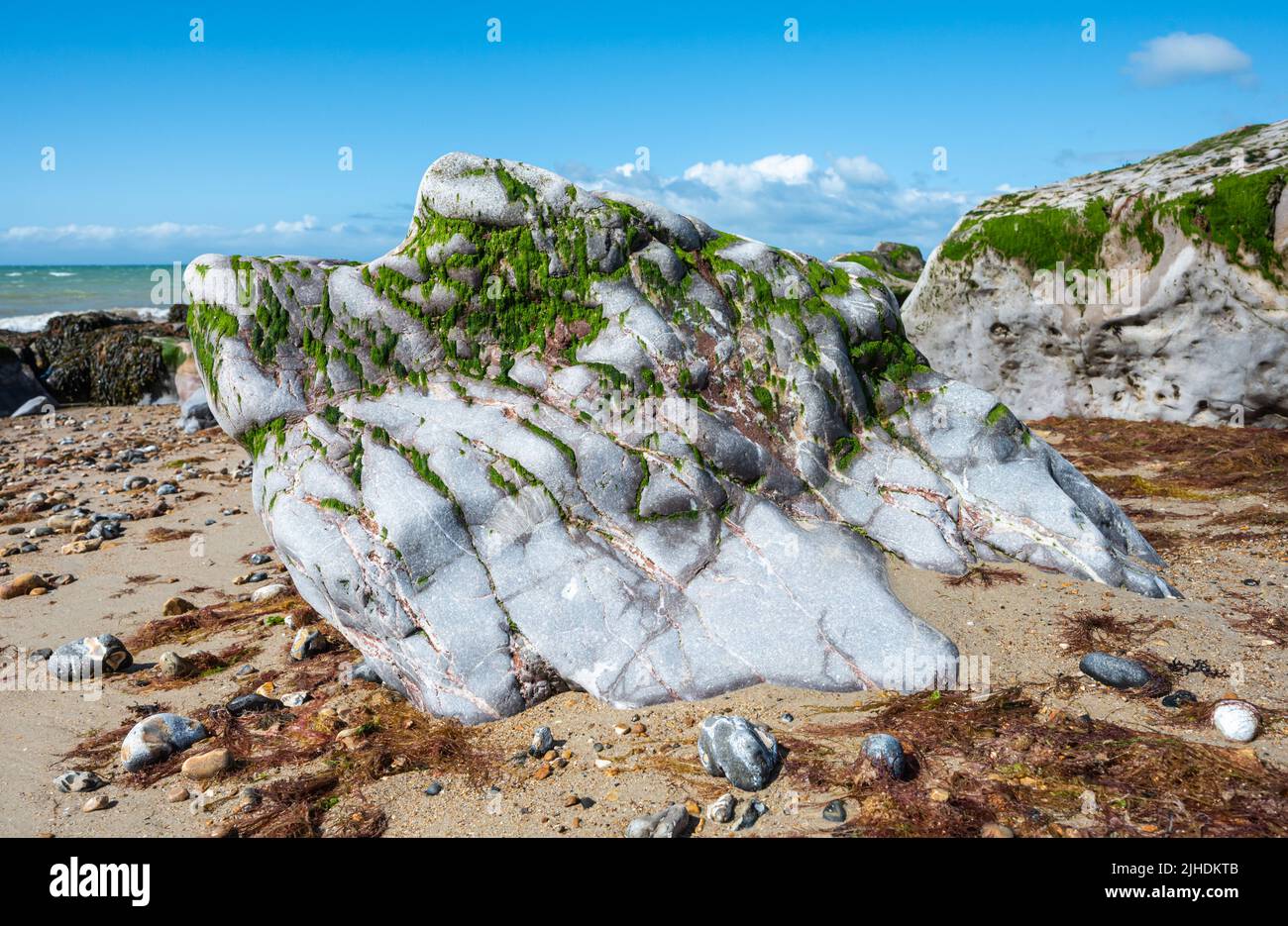 Large rocks on sandy beach, covered in green algae at low tide, ultra ...