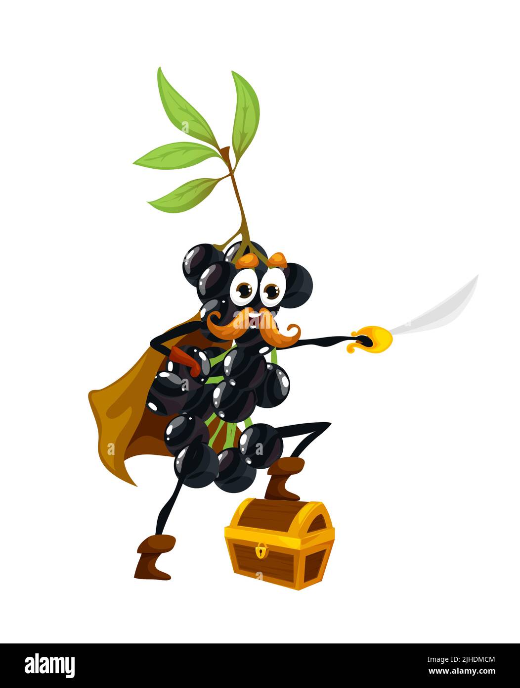 Black bird cherry pirate with saber and treasure. Cartoon vector berry ...