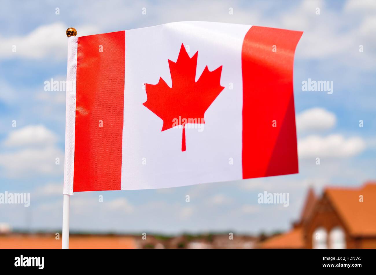 the national flag of Canada red maple leaf red and white colors close ...