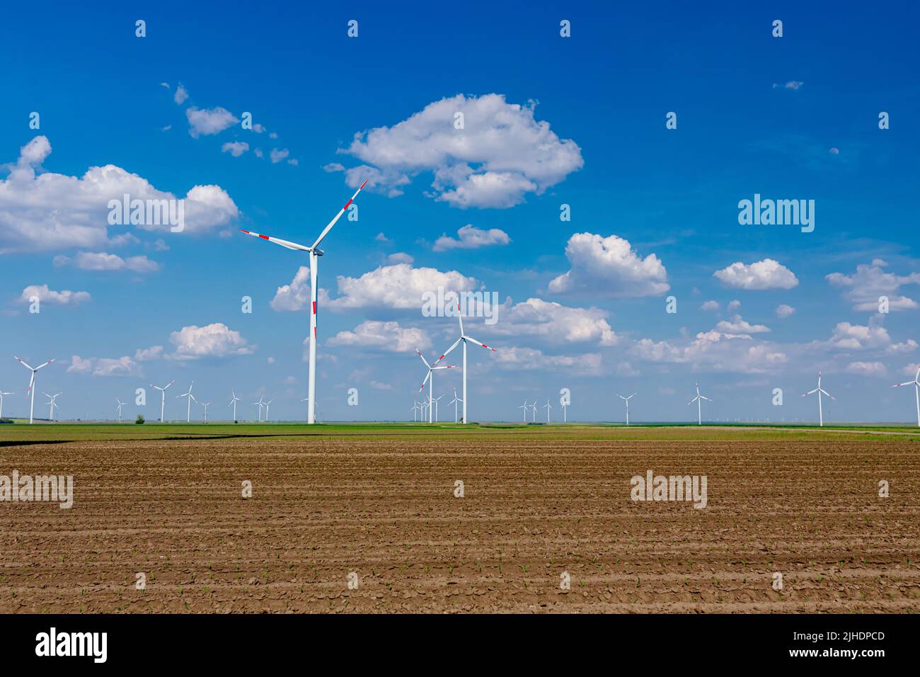 Farm of few large wind power turbines are standing among agricultural ...