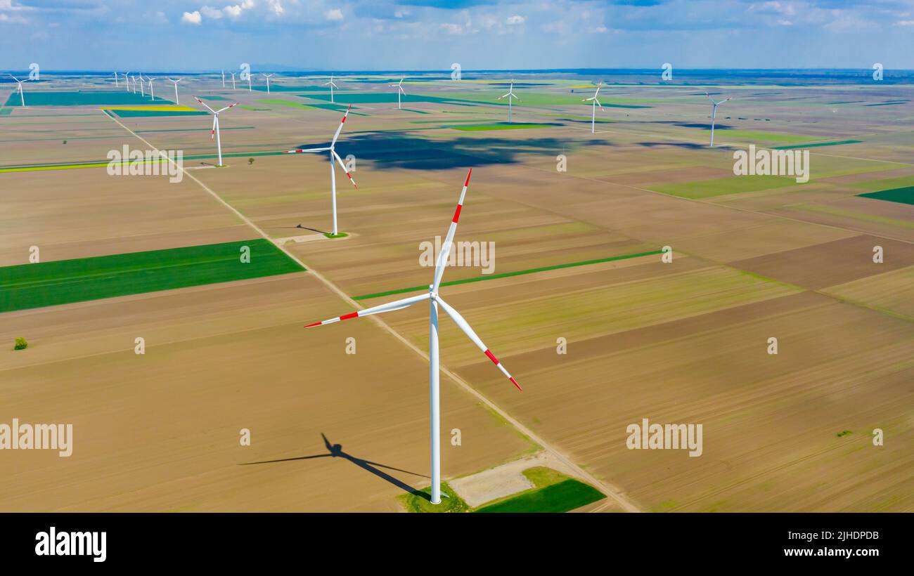 Above view on farm of large wind power turbines are standing among ...