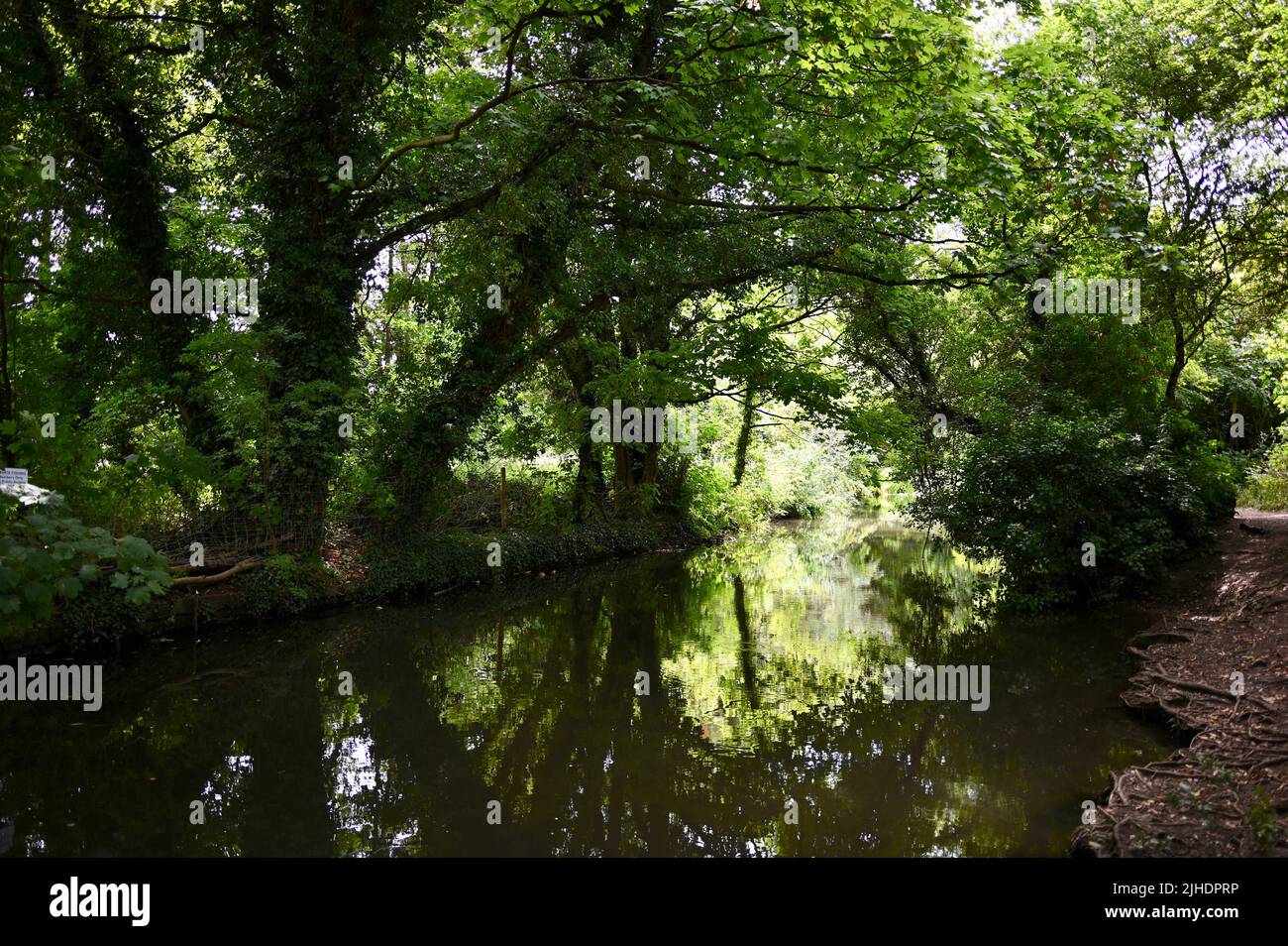 River Darent, Lullingstone Country Park, Eynsford, Kent. UK Stock Photo ...