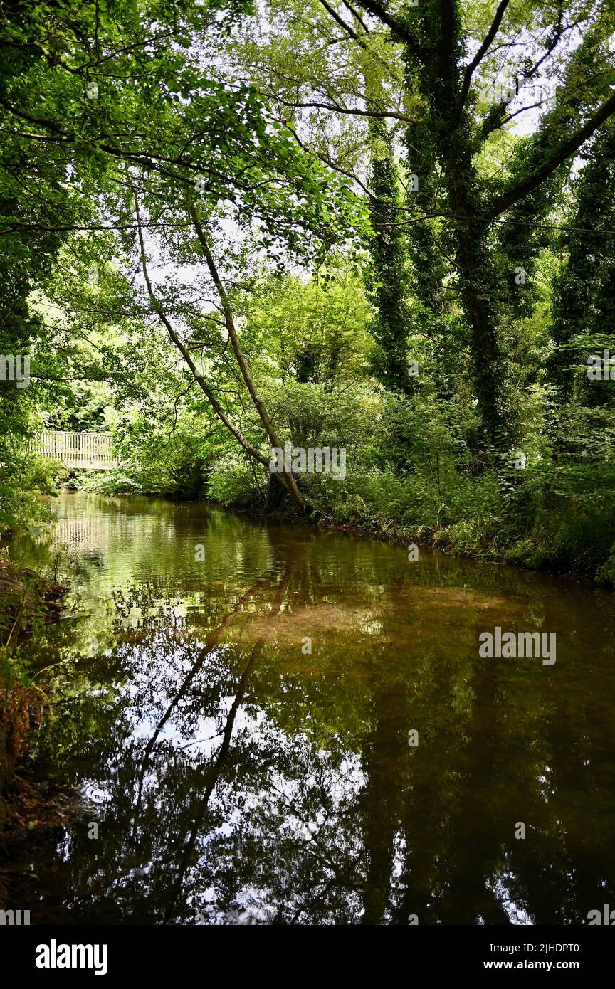 River Darent, Lullingstone Country Park, Eynsford, Kent. UK Stock Photo ...