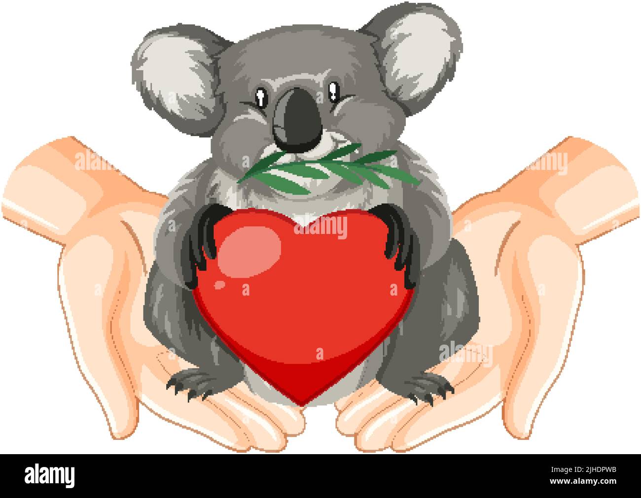Koala with heart in human hands illustration Stock Vector Image & Art ...