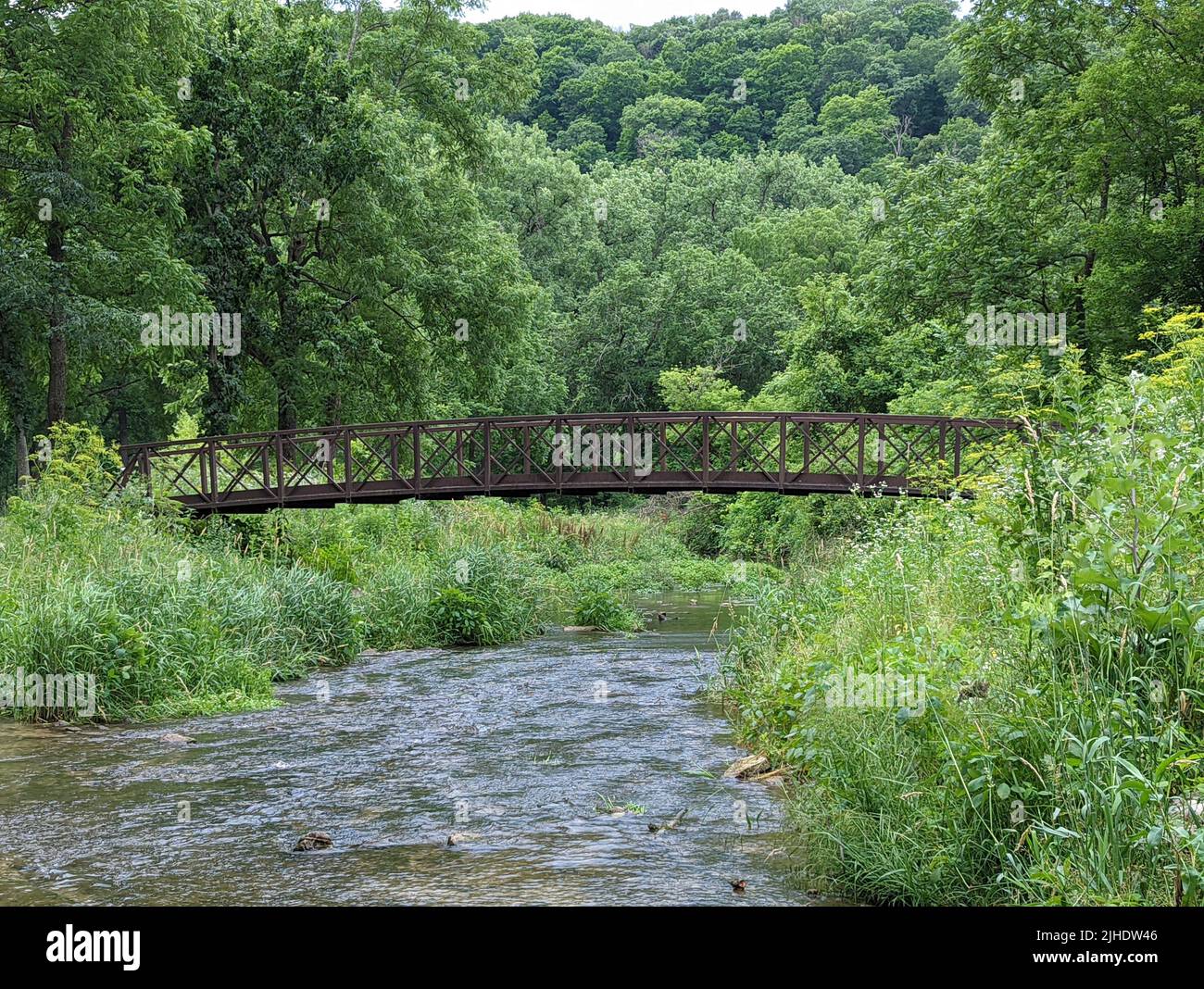 A scenic view of an old metal bridge above the river in a forest ...
