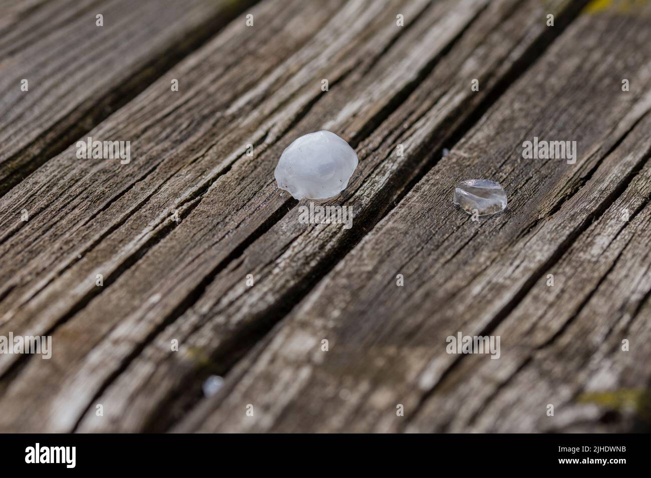 Small balls of hail, ice and hailstones from the sky on an old wooden ...