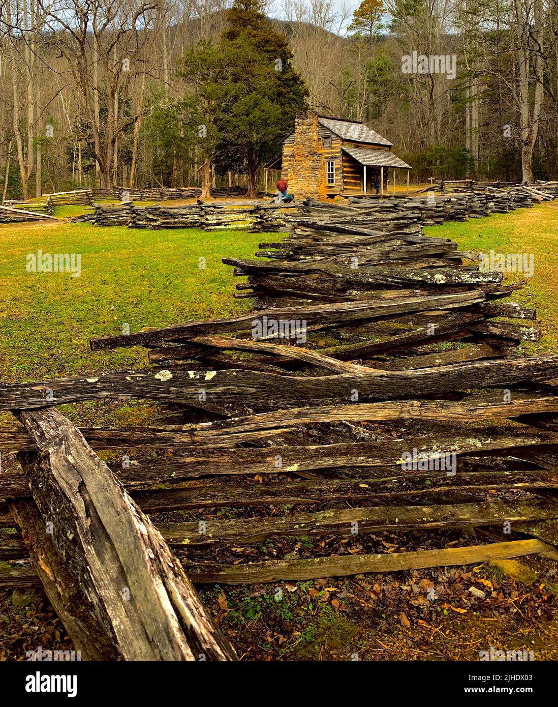 A vertical shot of an old wooden hut surrounded by a pile of old tree ...