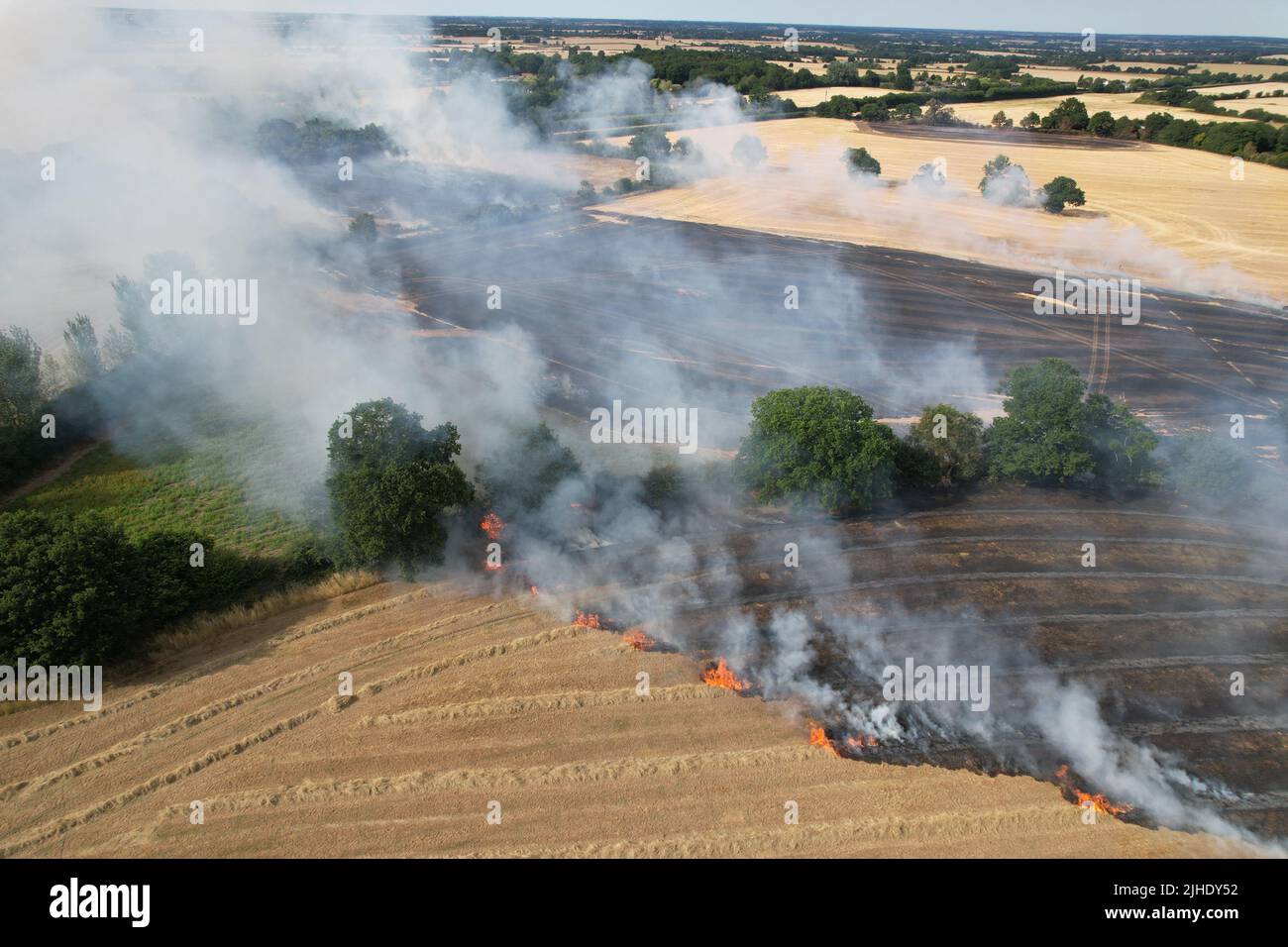 Huge Wild Fires in farm fields Essex Ongar Stock Photo - Alamy