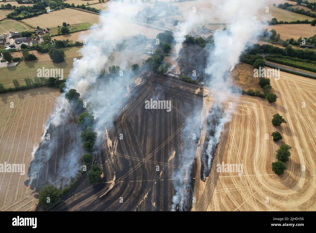 Huge Wild Fires in farm fields Essex Ongar Stock Photo - Alamy